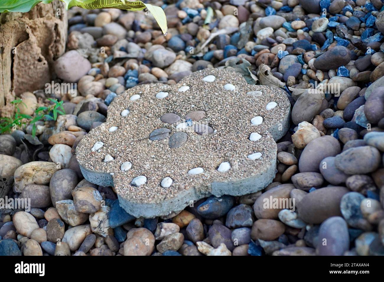 Stones for flooring, walkways in the gardens nature , floor, passage ...