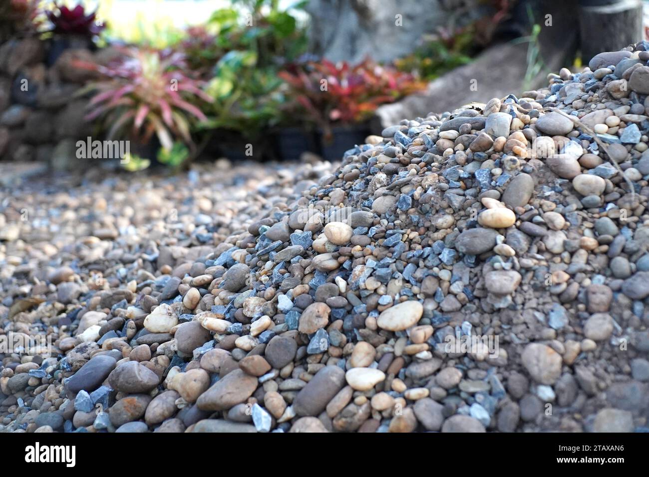 Stones for flooring, walkways in the gardens nature , floor, passage ...