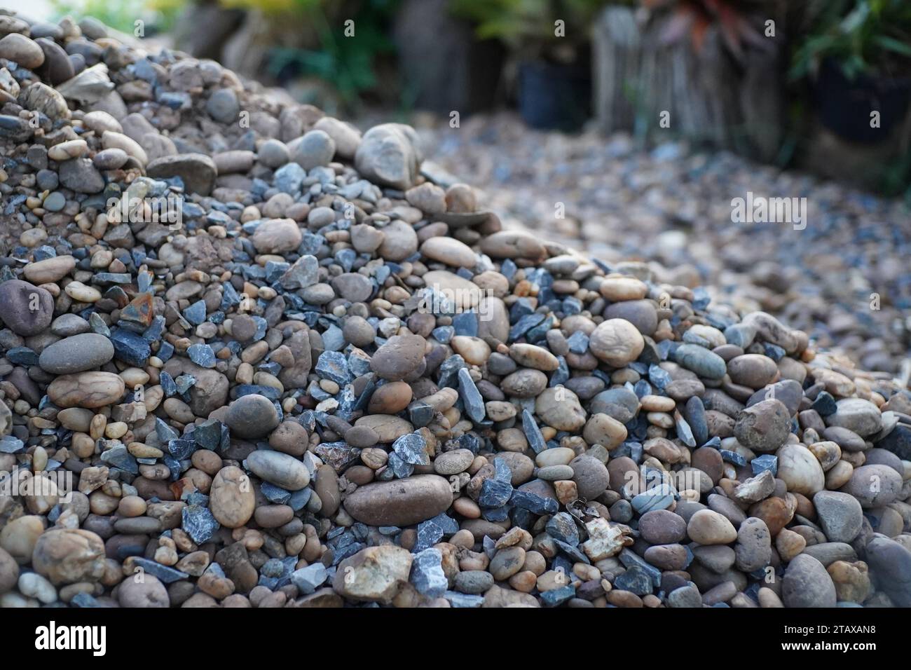 Stones for flooring, walkways in the gardens nature , floor, passage ...