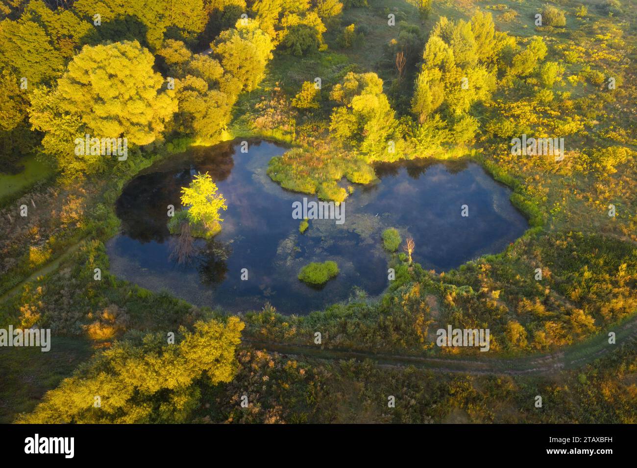 Water pond top view hi-res stock photography and images - Alamy