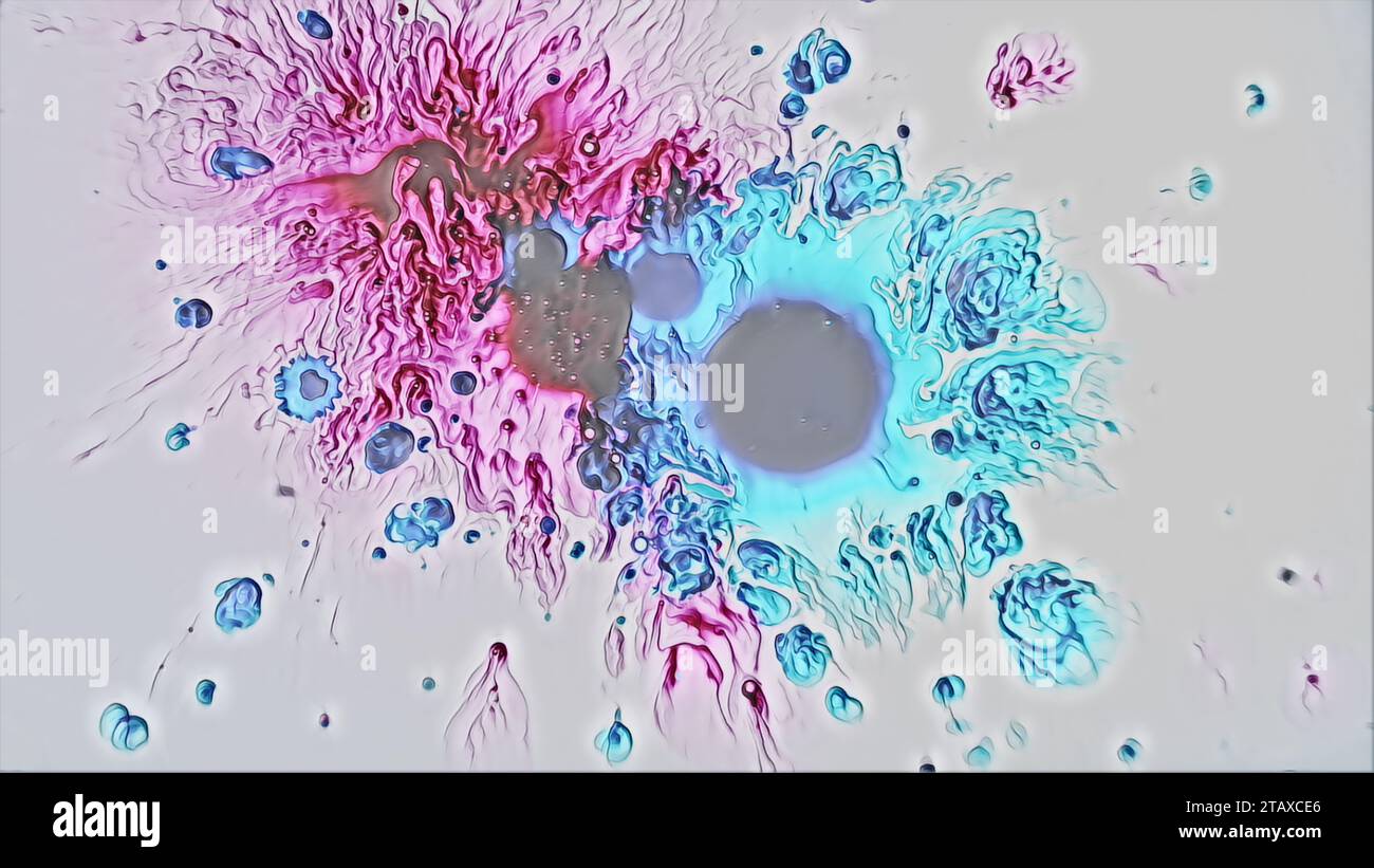 Paint drop ink splatter fluid splash blue pink Stock Photo - Alamy