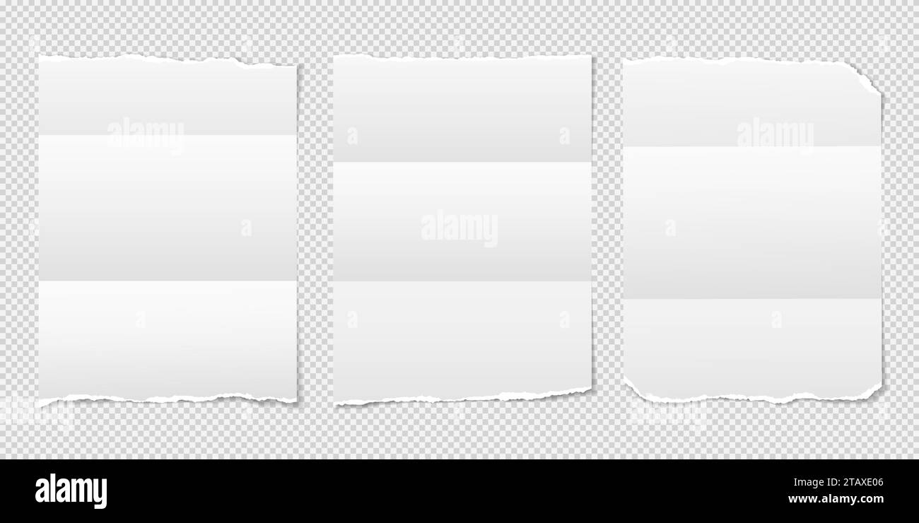 Set of torn, ripped folded paper, notebook sheet and soft shadow are on ...