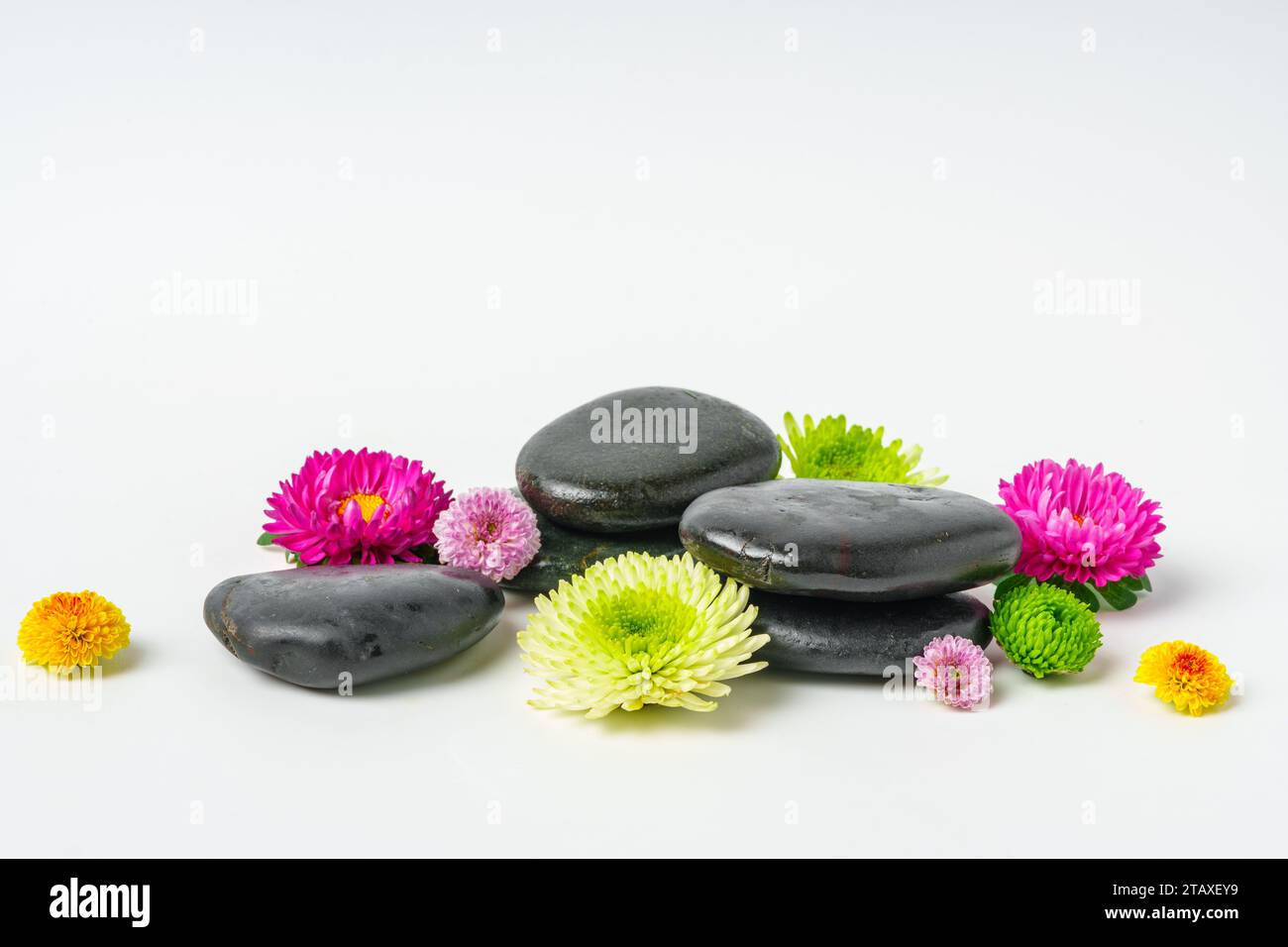Spa stones and flowers on the white background Stock Photo - Alamy