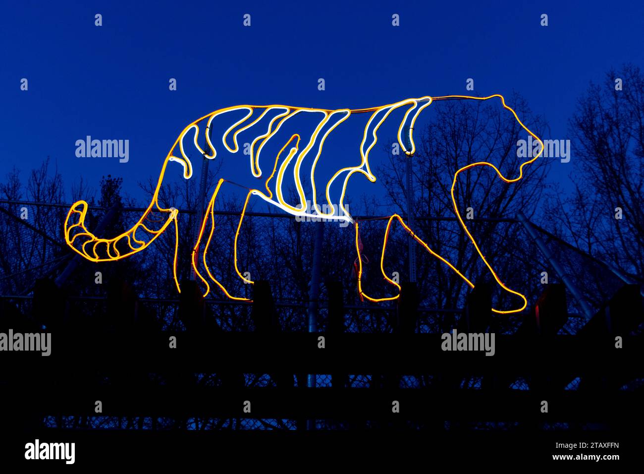 tiger shape illuminated in christmas lights with tree silhouette in ...