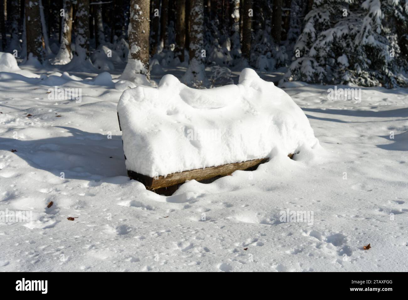 View of a Bavarian winter landscape with lots of snow, blue sky with ...