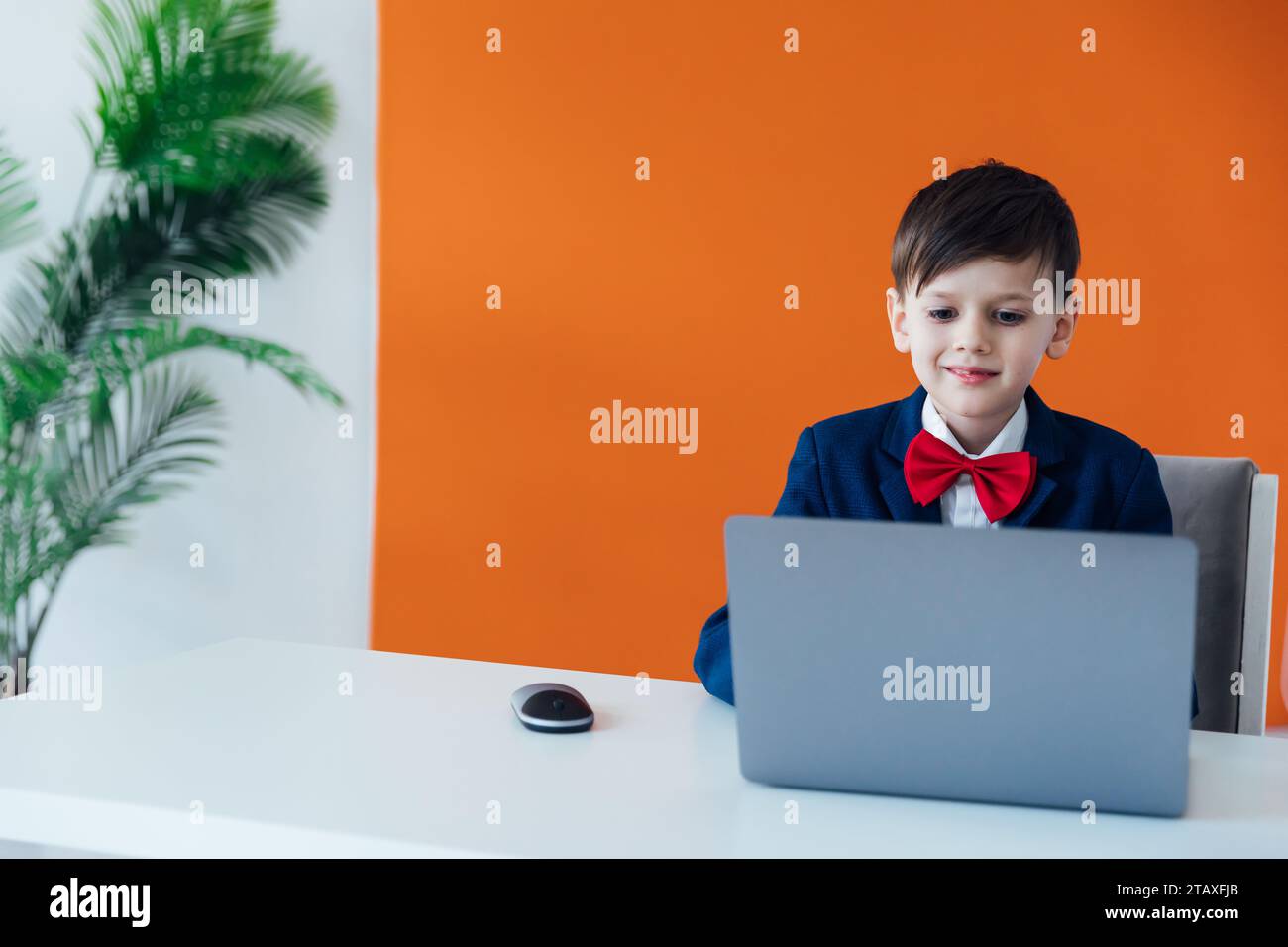 Education Lessons Boy Schoolboy Learns At Computer Online Stock Photo ...