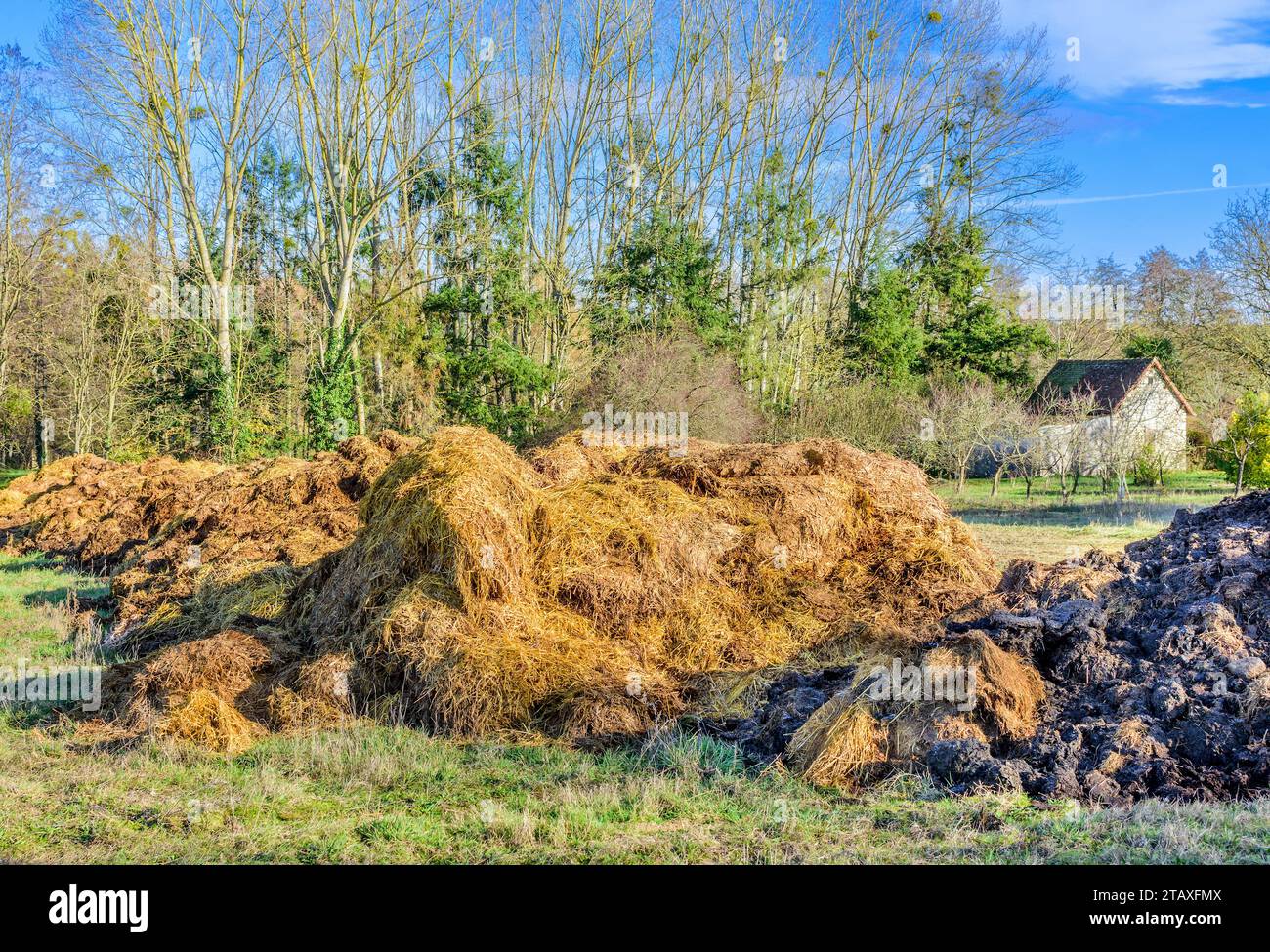 Cattle farm livestock waste for recycling onto farmland topsoil ...