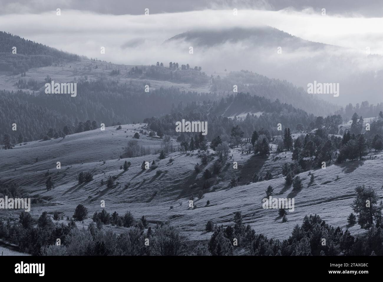 Gold mining rocky mountains hi-res stock photography and images - Alamy