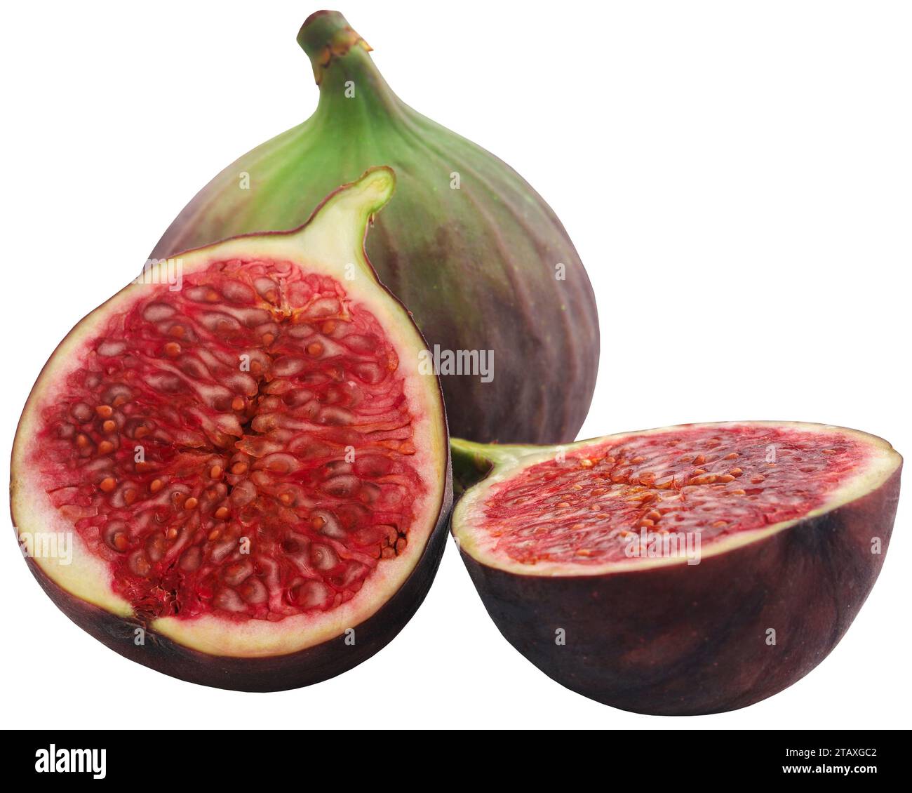 Fig common hi-res stock photography and images - Alamy