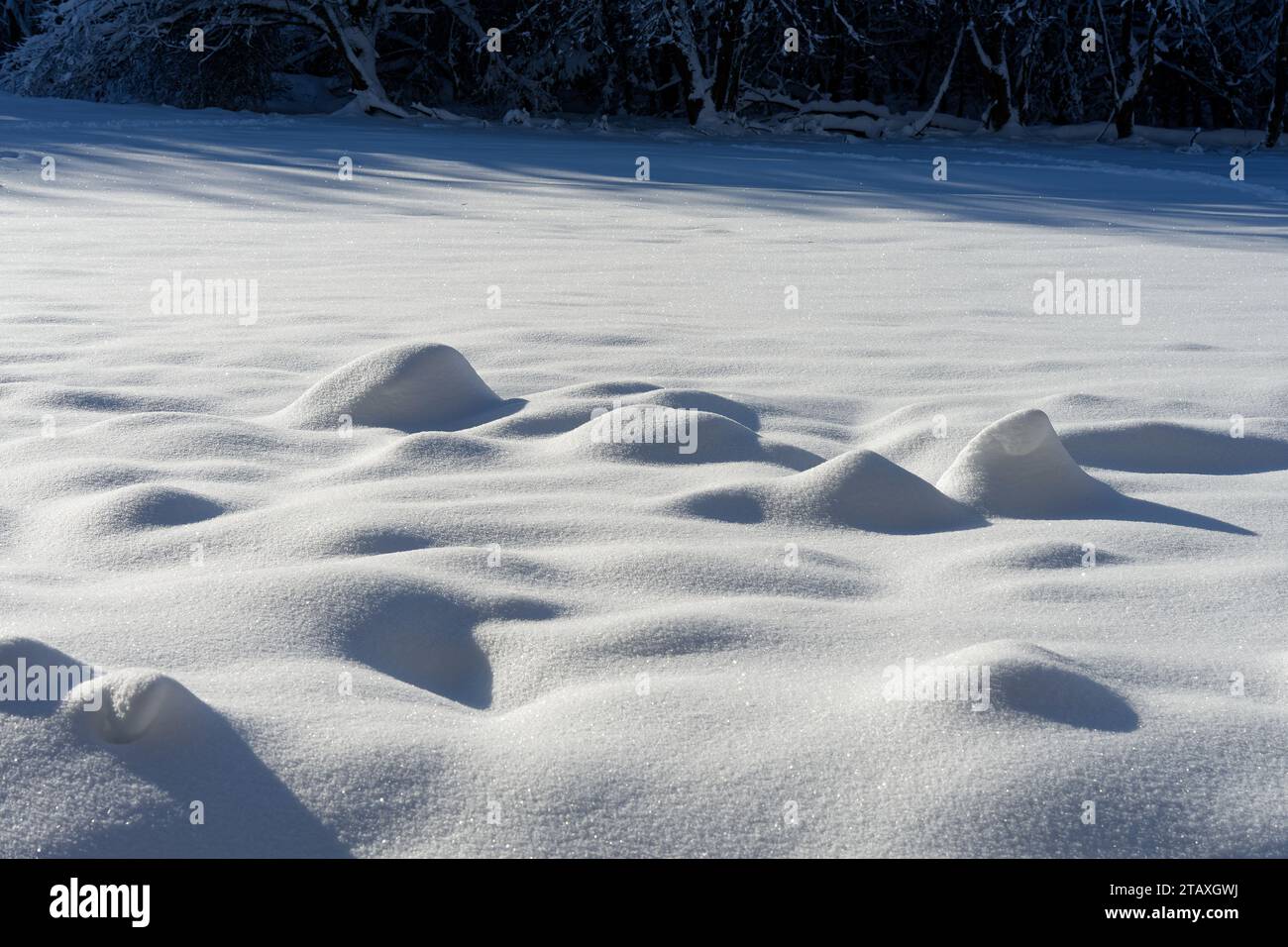View of a Bavarian winter landscape with lots of snow, blue sky with ...