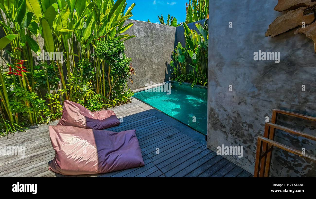 Hotel complex, rooms with tropical plants. Room, tropical island life ...