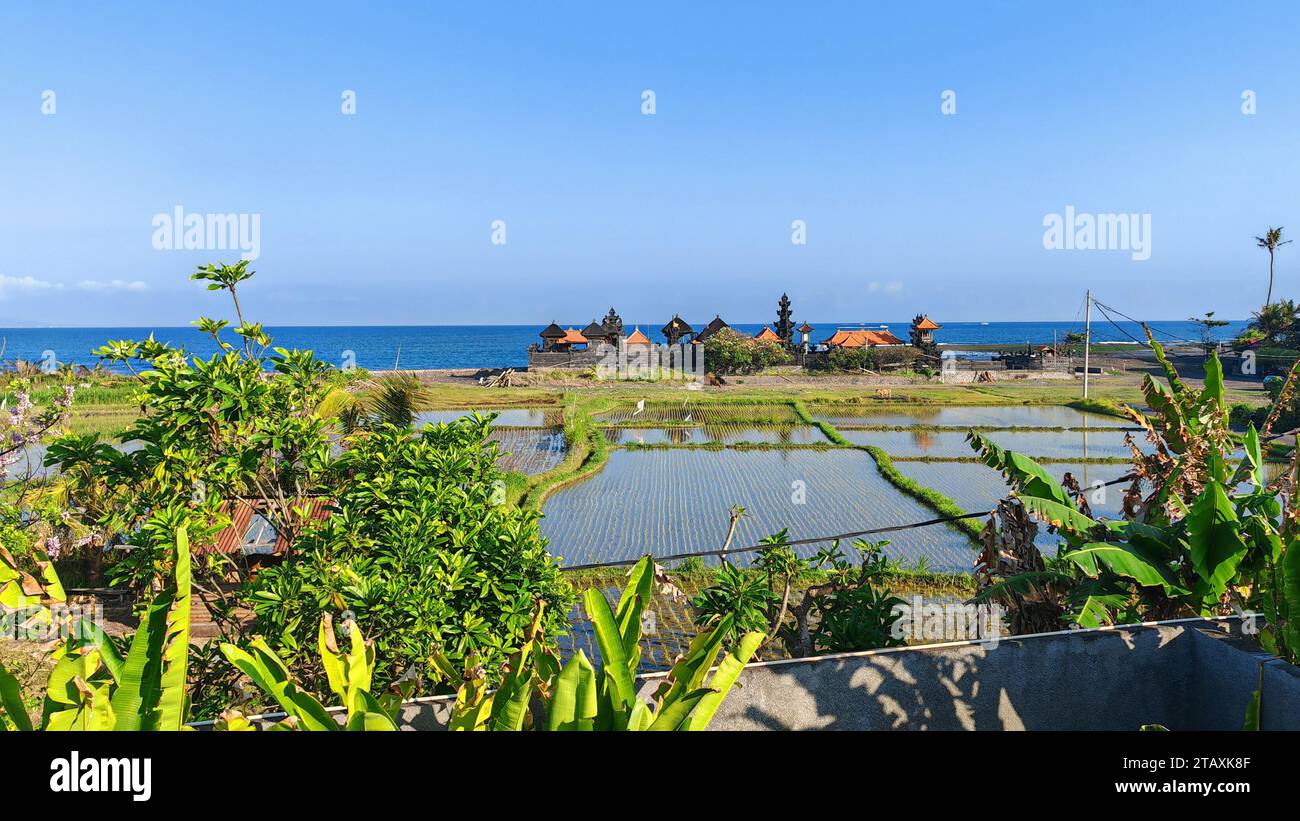 Hotel complex, rooms with tropical plants. Room, tropical island life ...
