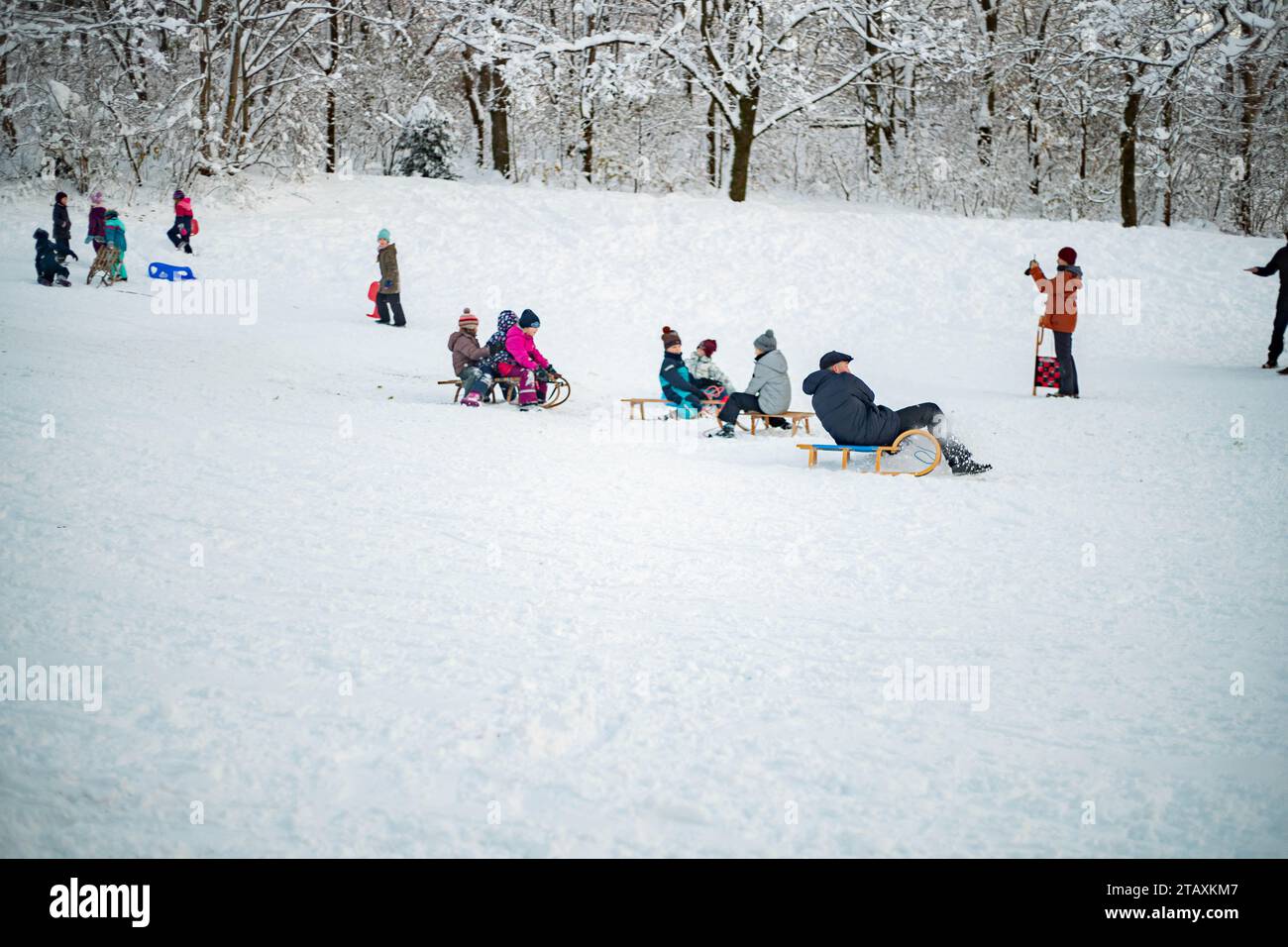 Munich, Germany. 03rd Dec, 2023. Impressions from Luitpoldpark, where ...