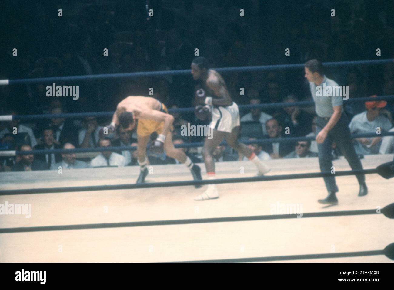 JULY, 1963: General view of an unidentified boxer knocking down his ...