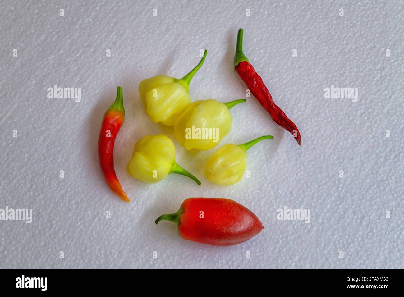 Different Yellow and red sharp peppers on a white background Stock ...
