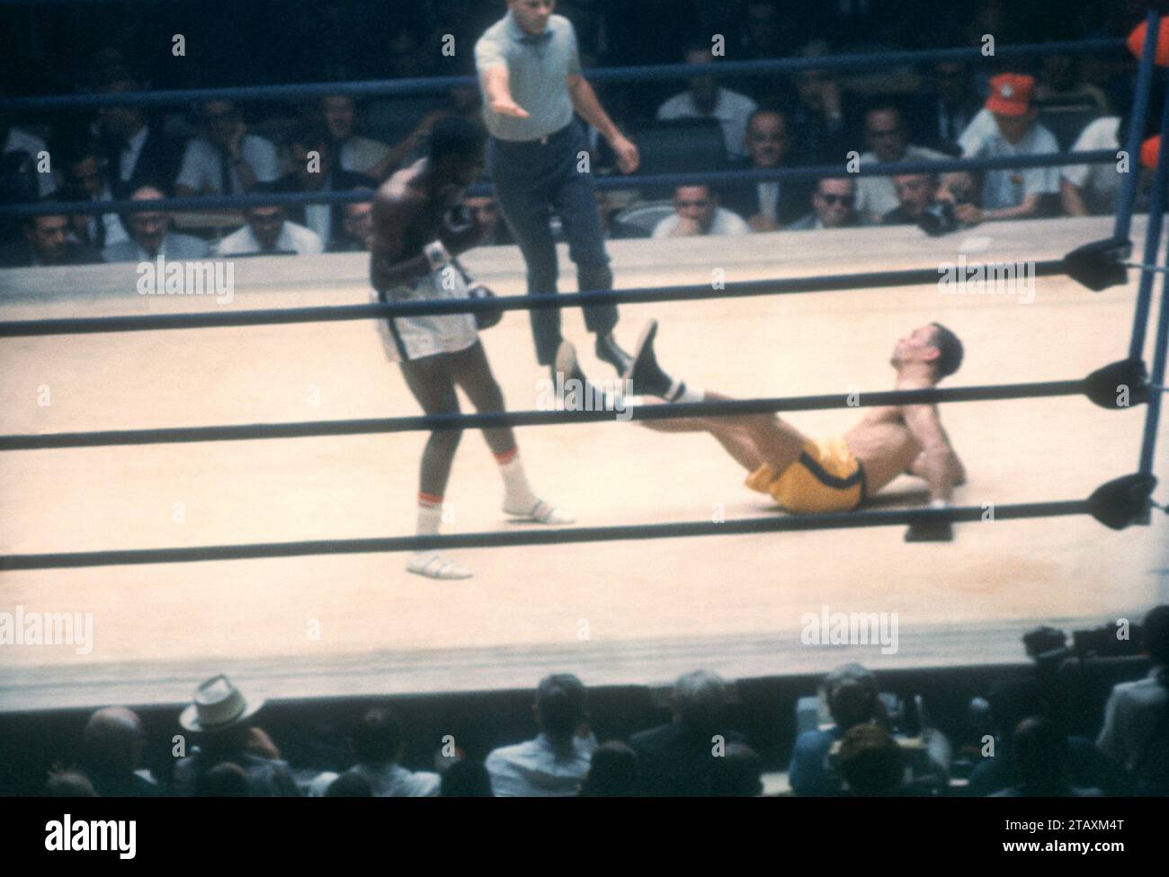 JULY, 1963: General view of an unidentified boxer knocking down his ...