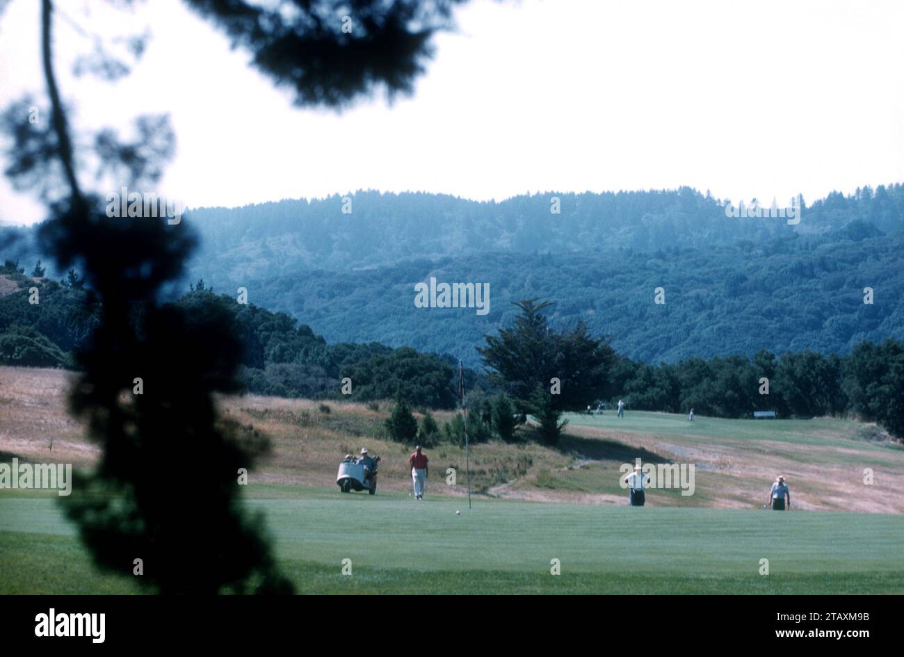 AUGUST, 1958: General view of golfers walking towards the green to putt ...