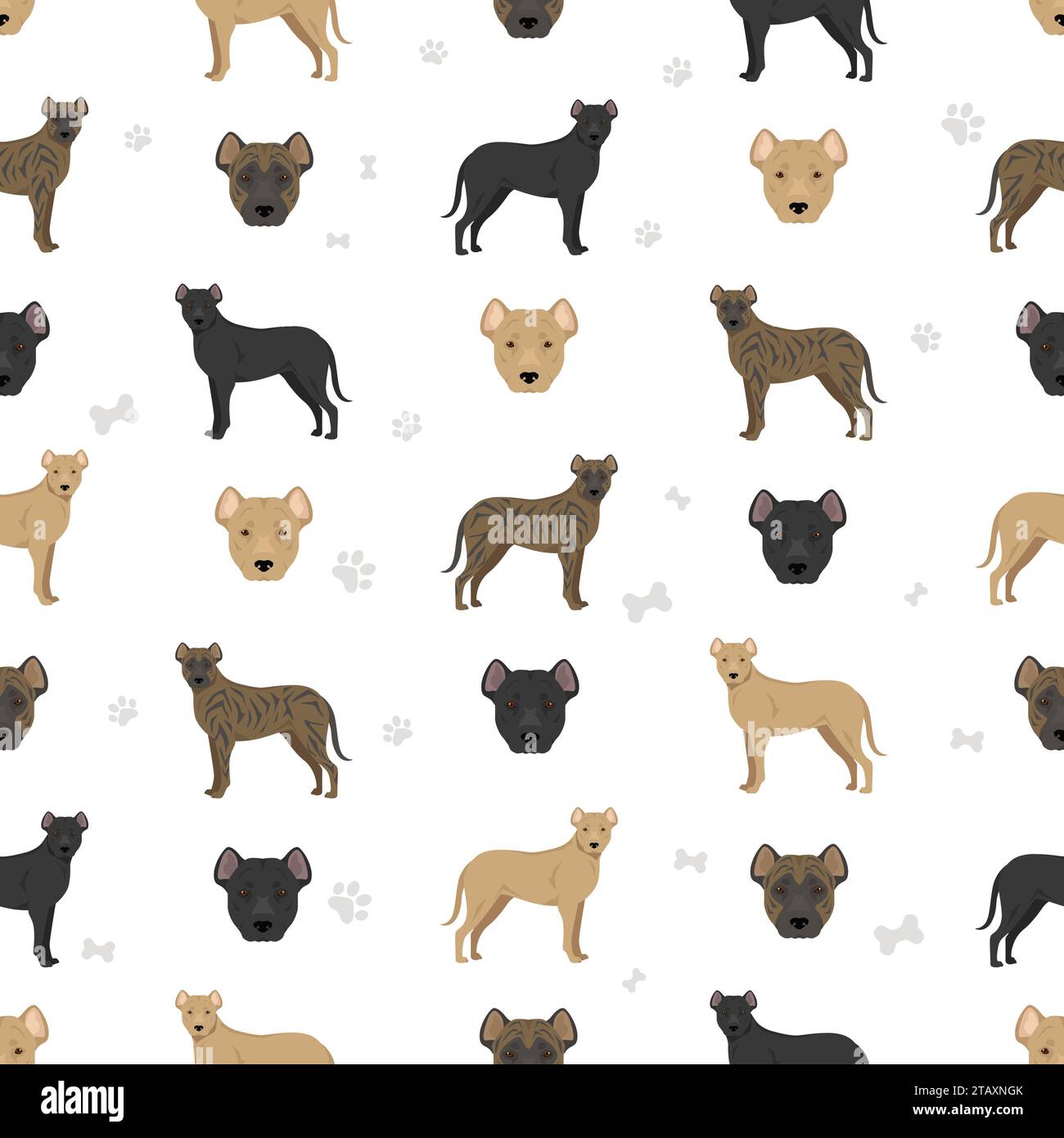 Uruguayan Cimarron seamless pattern. All coat colors set. All dog ...