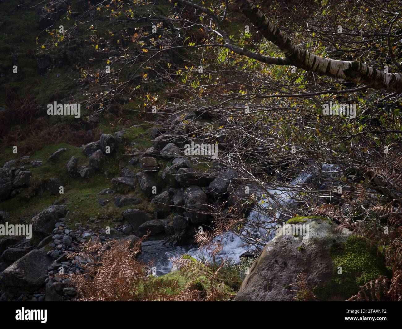 Rossett Gill flows down from Rossett Pike at the head of Mickleden in ...