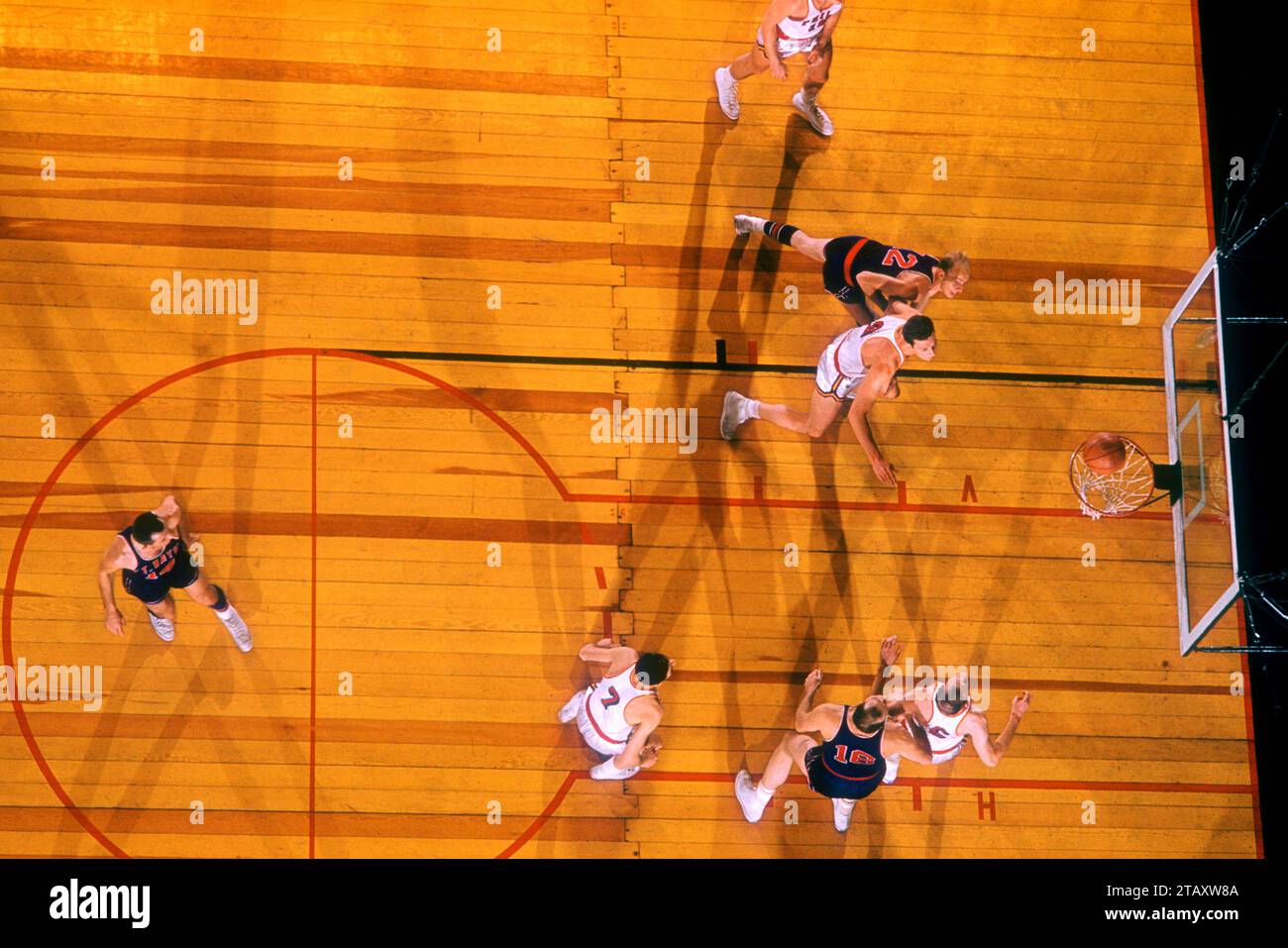 NEW YORK, NY - JANUARY 5: Neil Johnston #6, Ernie Beck #7 and Joe ...