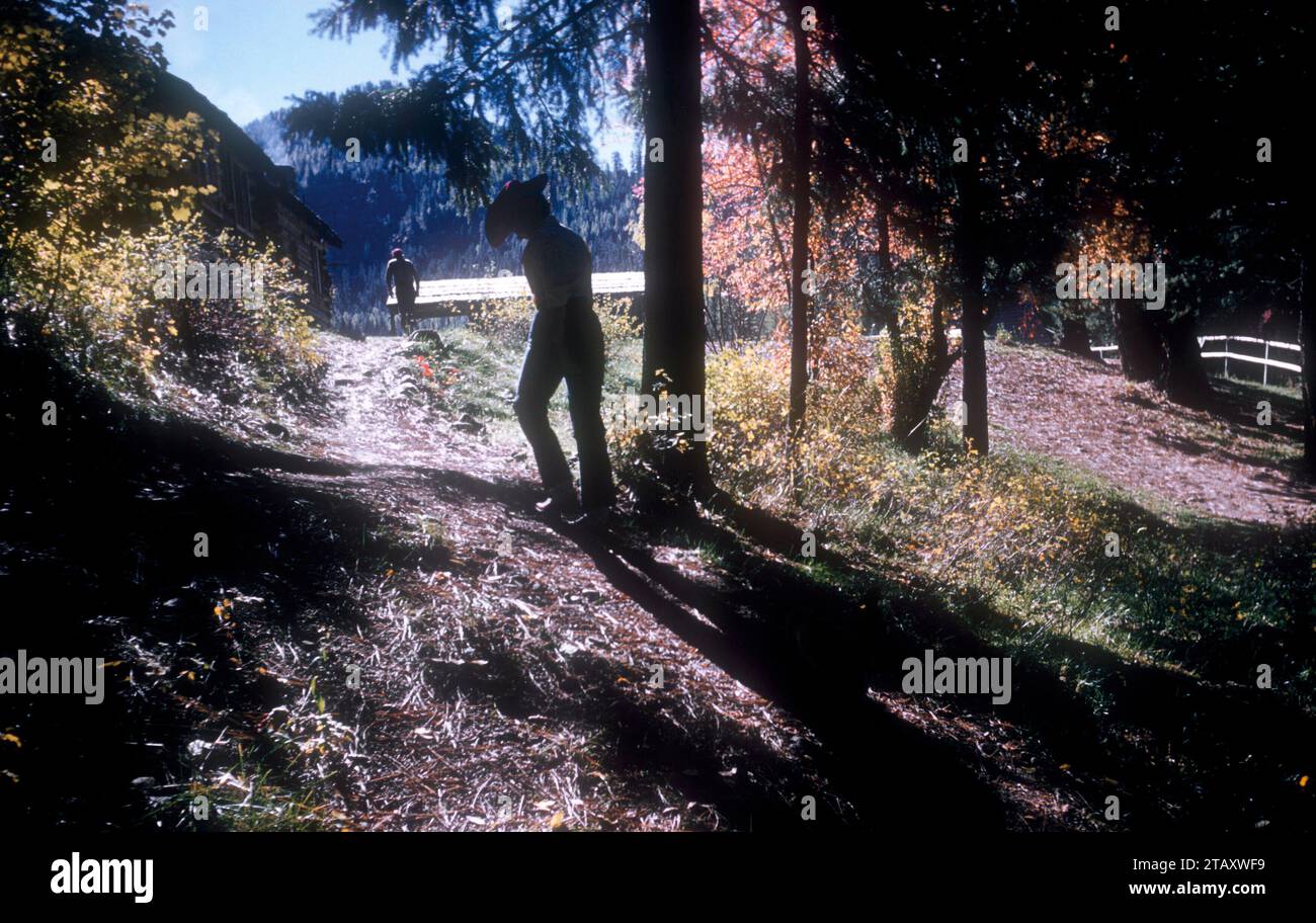 LA GRANDE, OR - OCTOBER, 1959: General view as a woman walks along a ...