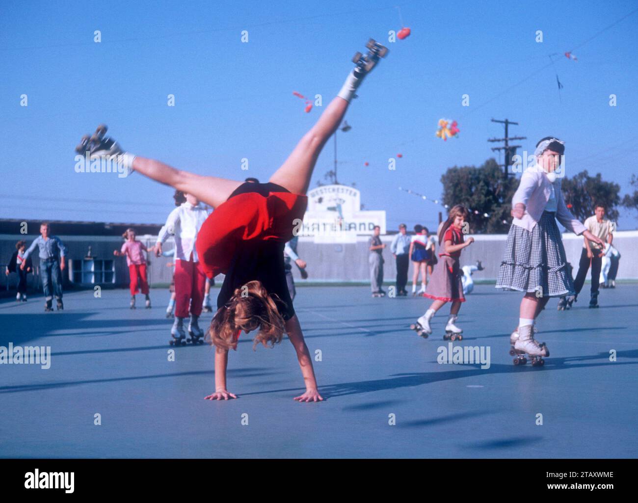 WESTCHESTER, NY - NOVEMBER, 1954: General view of Gloria doing a hand ...