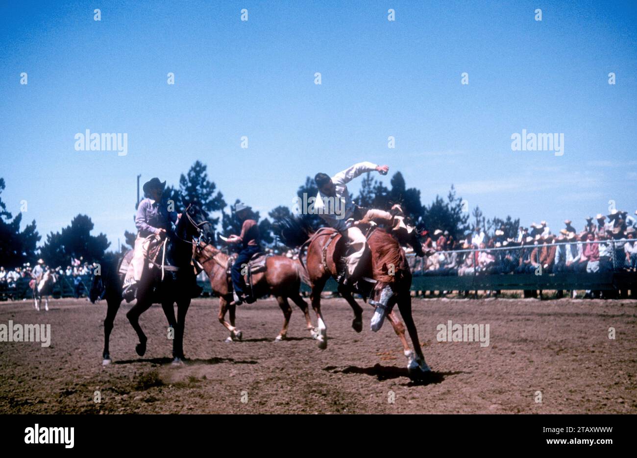 SALINAS, CA - JULY 15: An unidentified man rides a bronco during the ...