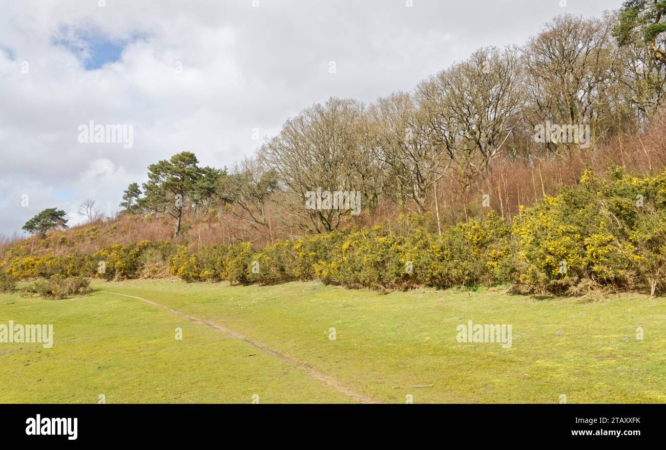 Old a3 hi-res stock photography and images - Alamy