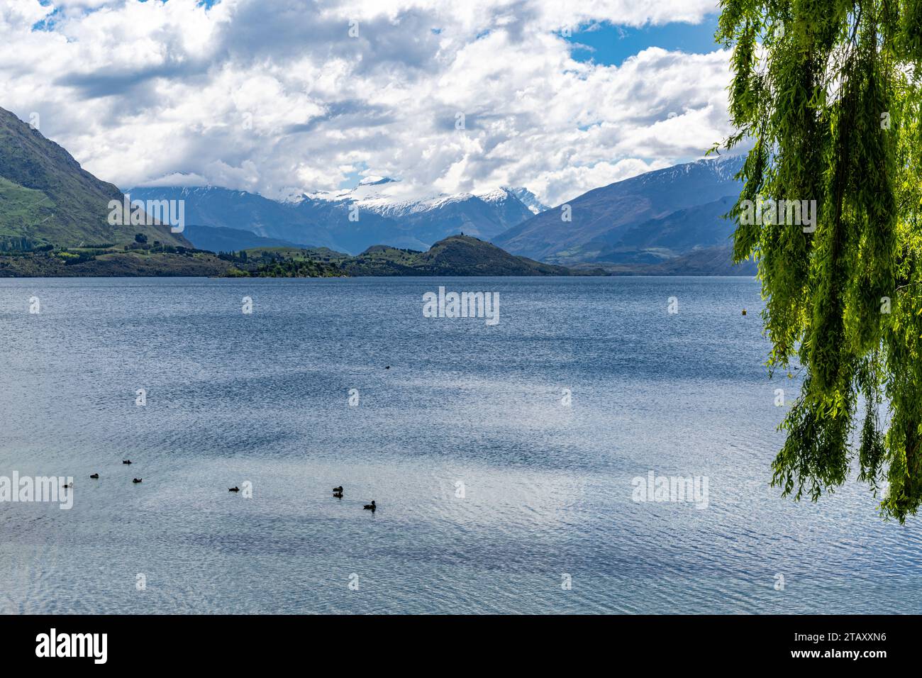 Views of Lake Wanaka from Wanaka and from viewing areas Stock Photo - Alamy