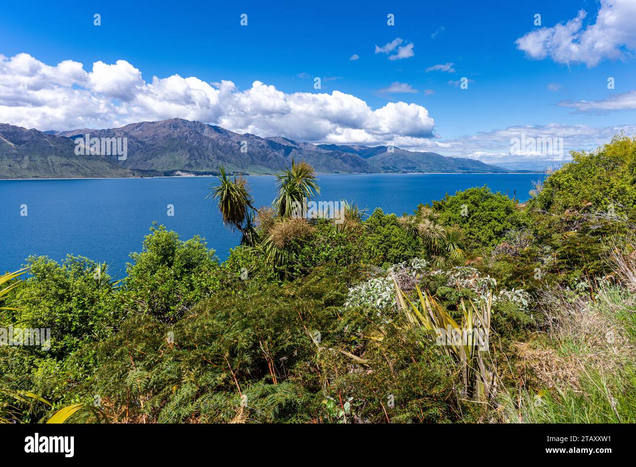 Views of Lake Wanaka from Wanaka and from viewing areas Stock Photo - Alamy