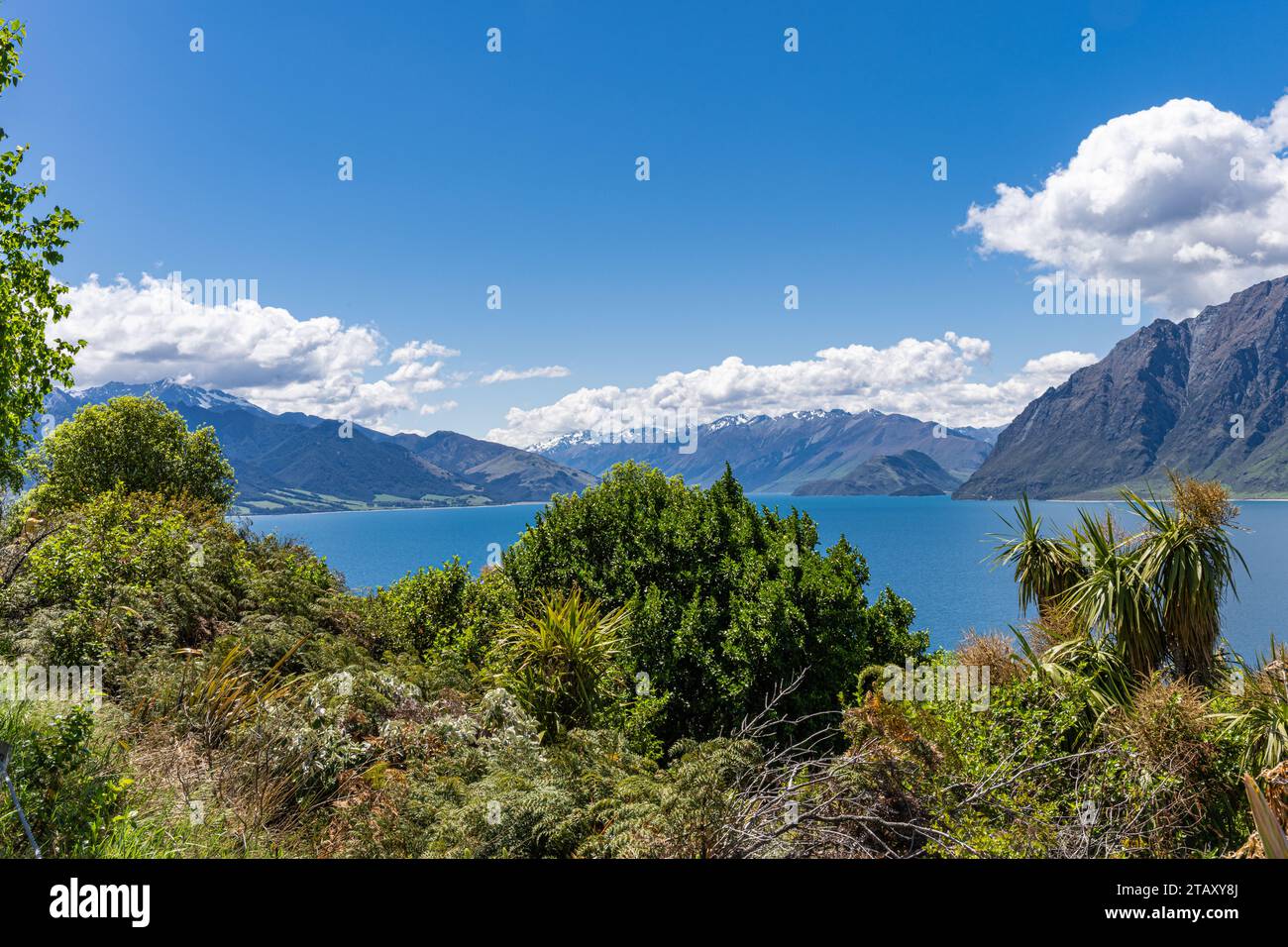 Views of Lake Wanaka from Wanaka and from viewing areas Stock Photo - Alamy