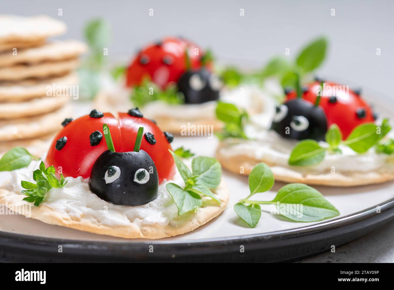 Lady bug cracker with cream cheese and tomato for summer party Stock ...