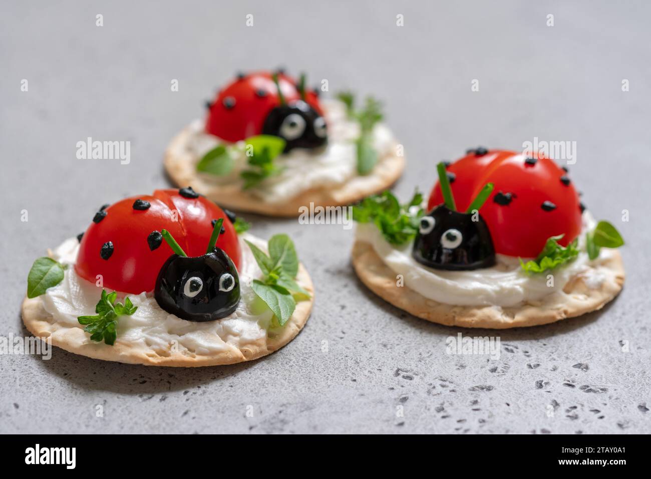 Lady bug cracker with cream cheese and tomato for summer party Stock ...