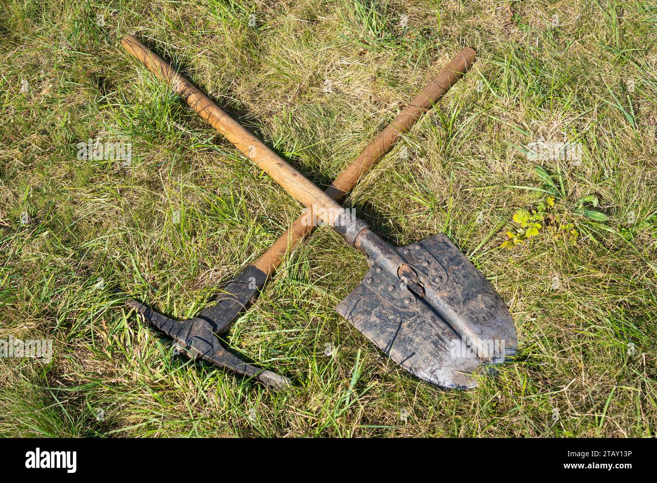 Pick and spade lying in green grass Stock Photo - Alamy