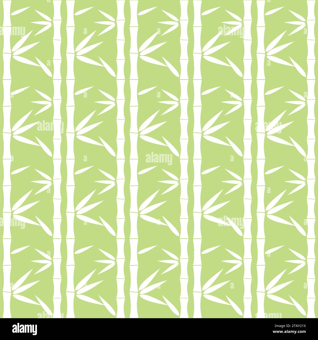 Bamboo Pattern green Tropical seamless nature. Vector Illustration ...