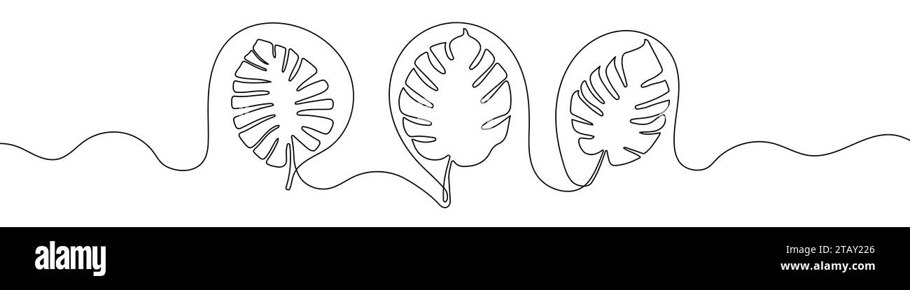 Continuous line drawing of tropical leaves. One line drawing background ...