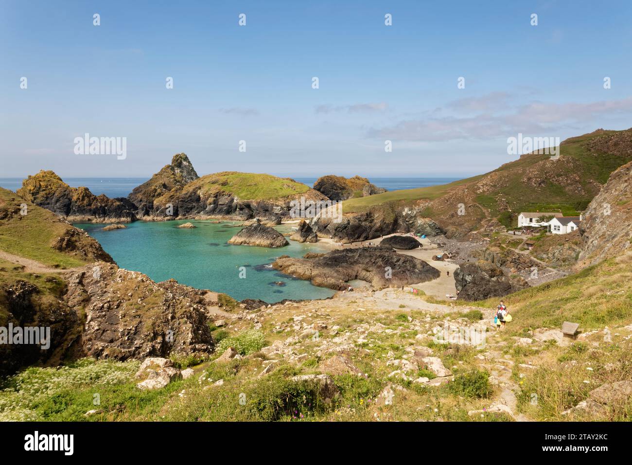 Kynance Cove, the Lizard National Nature Reserve, Cornwall, UK, June ...