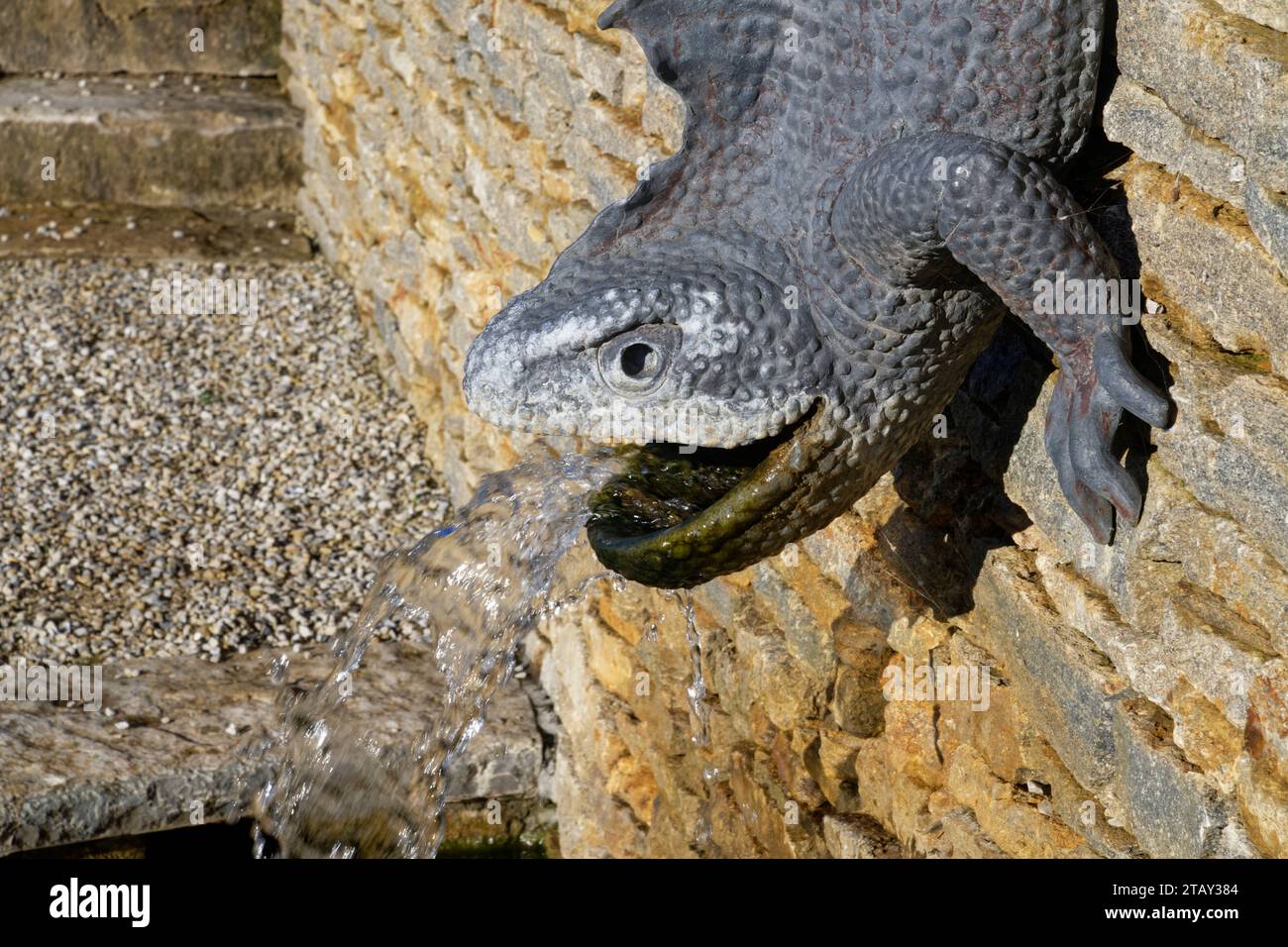 Newt water feature spurting water from its mouth within the landscaped ...