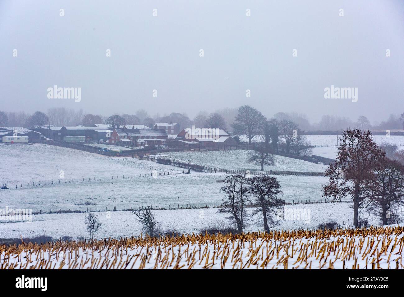 Farm and farmhouse in a snow covered cold misty foggy snowy Cheshire landscape during winter ...