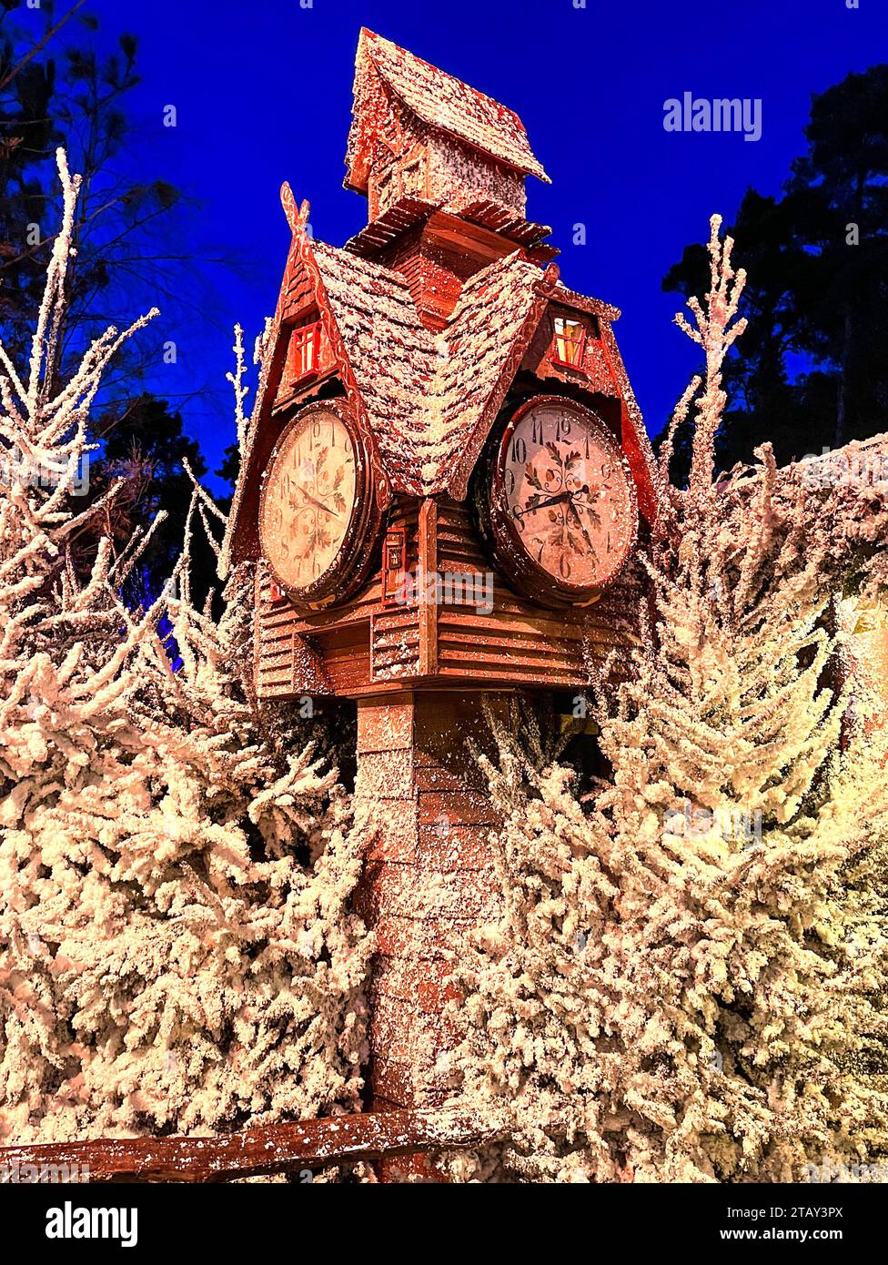 Winter snow-covered clock in woodland Stock Photo - Alamy