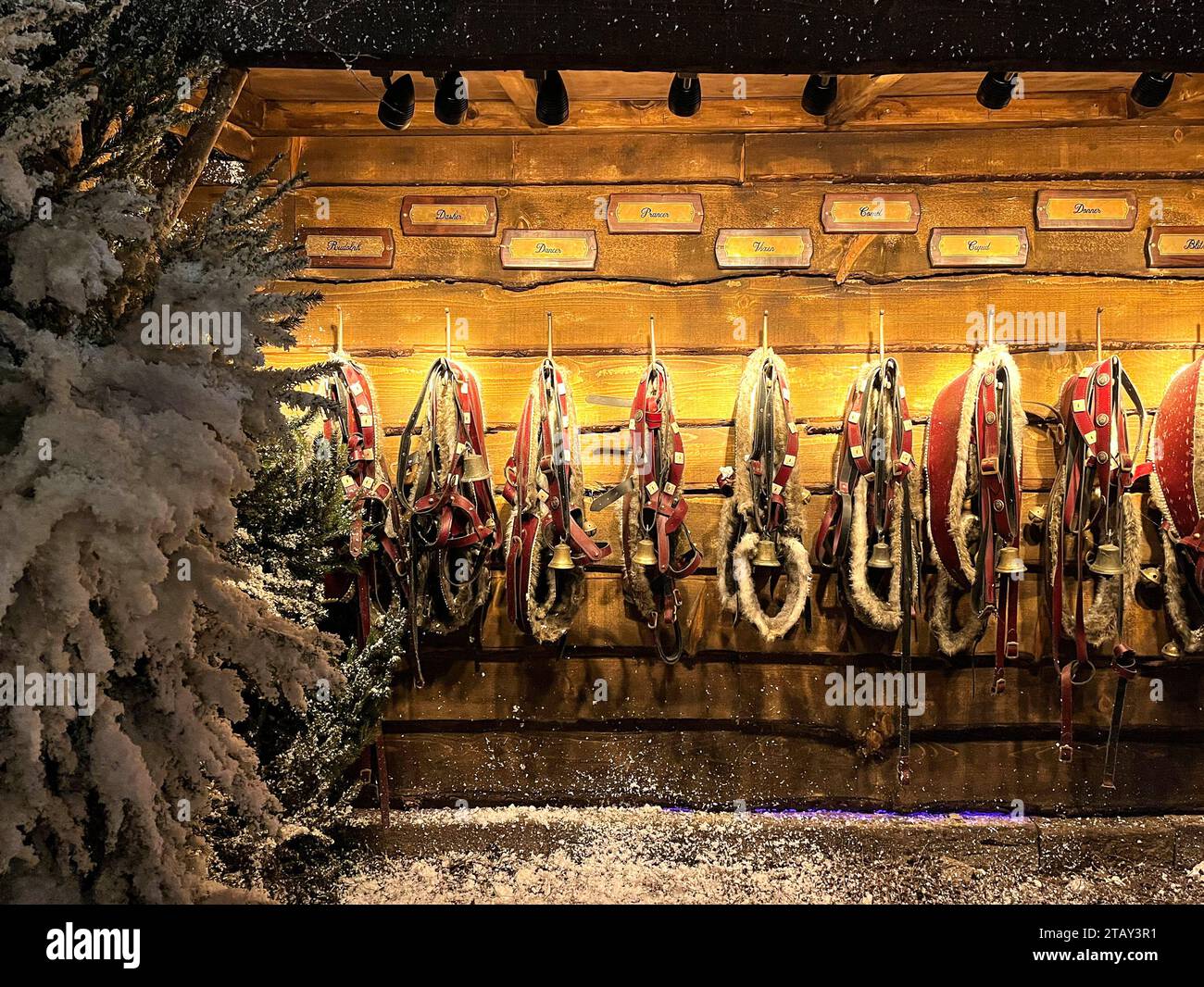 Father christmas reindeer hi-res stock photography and images - Alamy