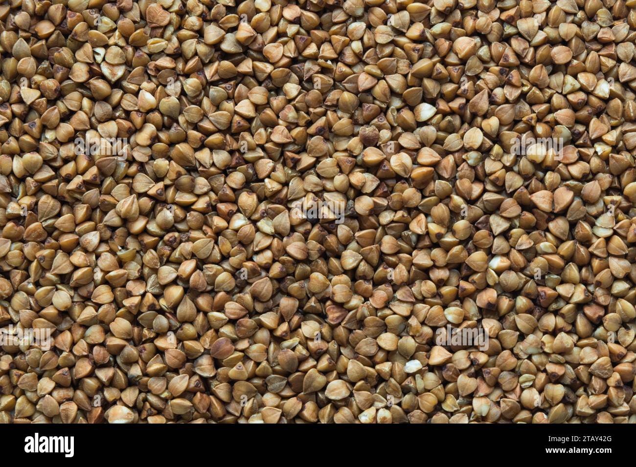Buckwheat grains background hi-res stock photography and images - Alamy