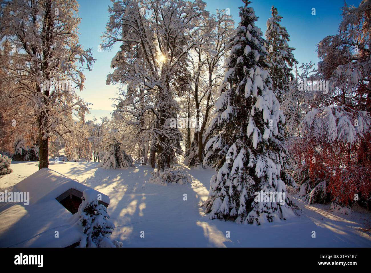 DE - BAVARIA: Winter scene in the Isar Valley (Isartal) at Bad Toelz ...
