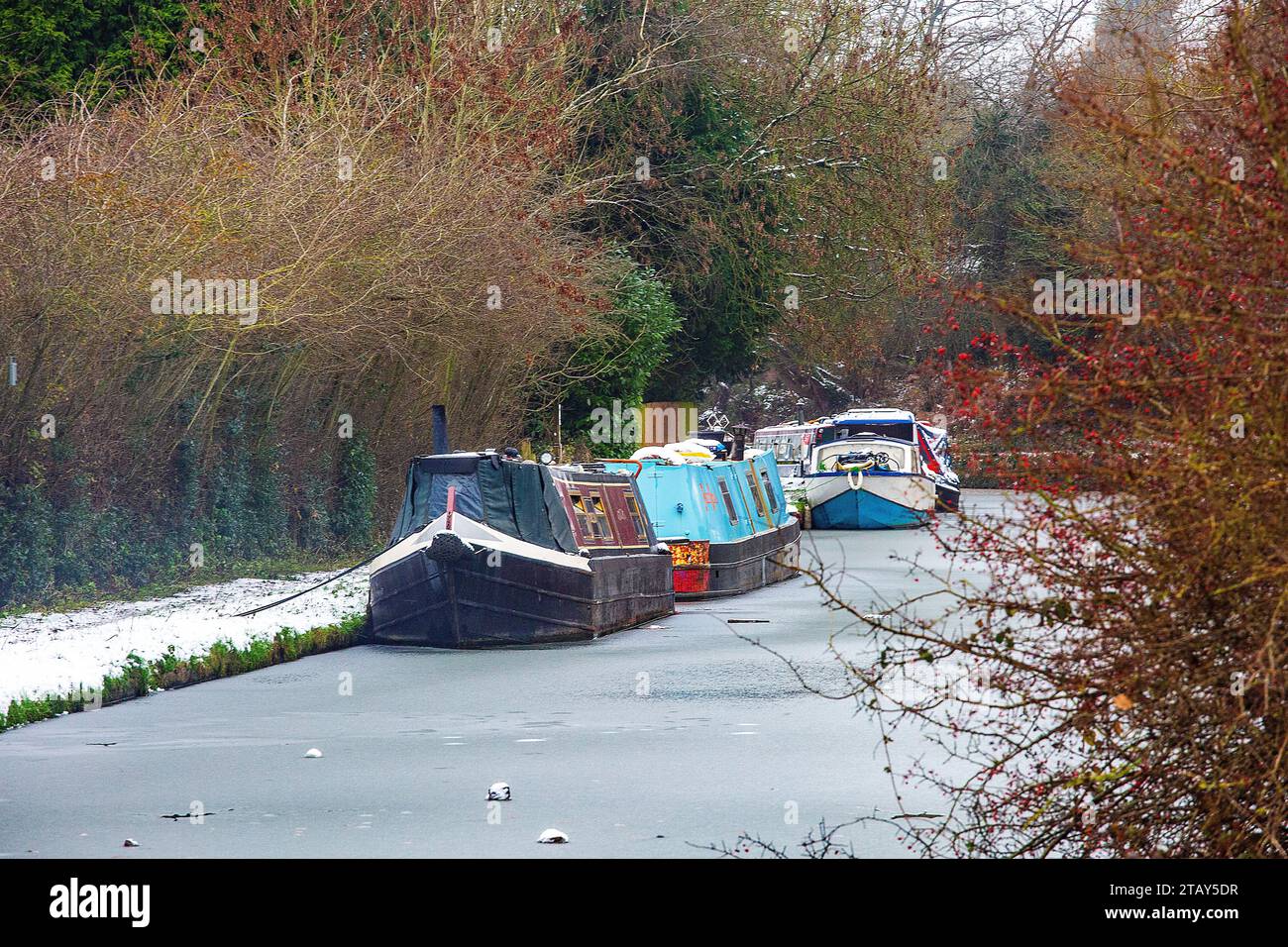 Canal narrowboats moored on the Trent and Mersey canal at wheelock ...