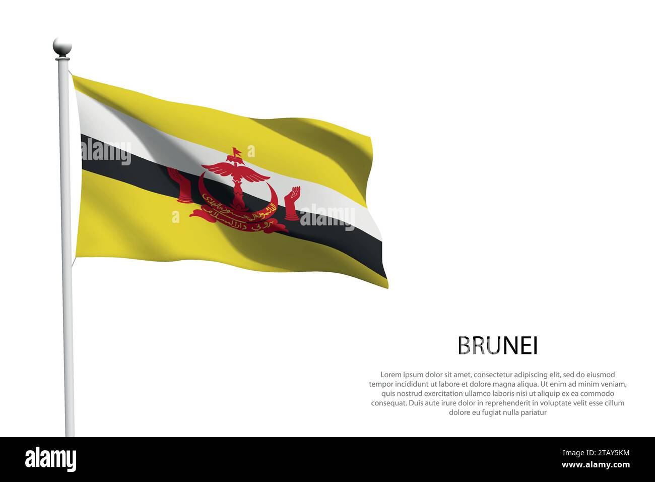 National flag Brunei isolated waving on white background Stock Vector ...