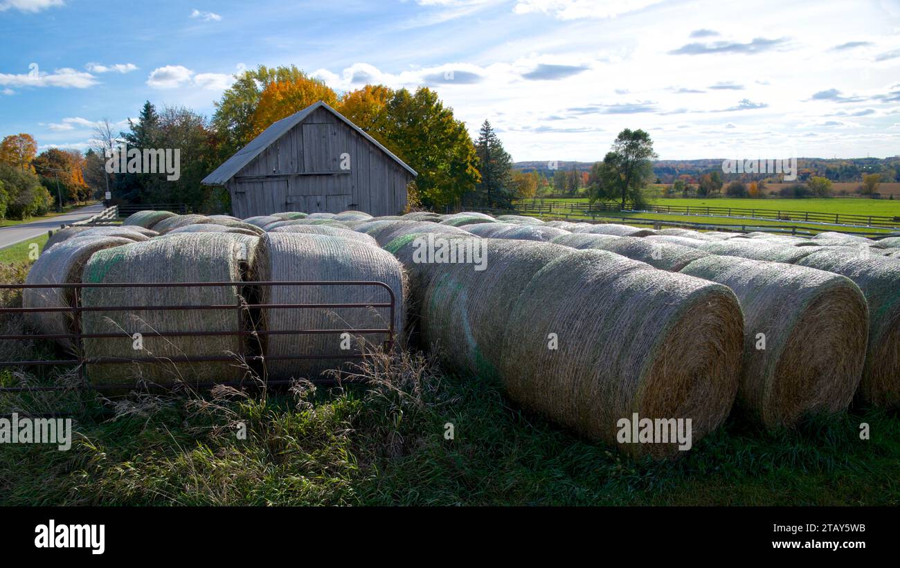 Agriculture farming field perspective hi-res stock photography and ...