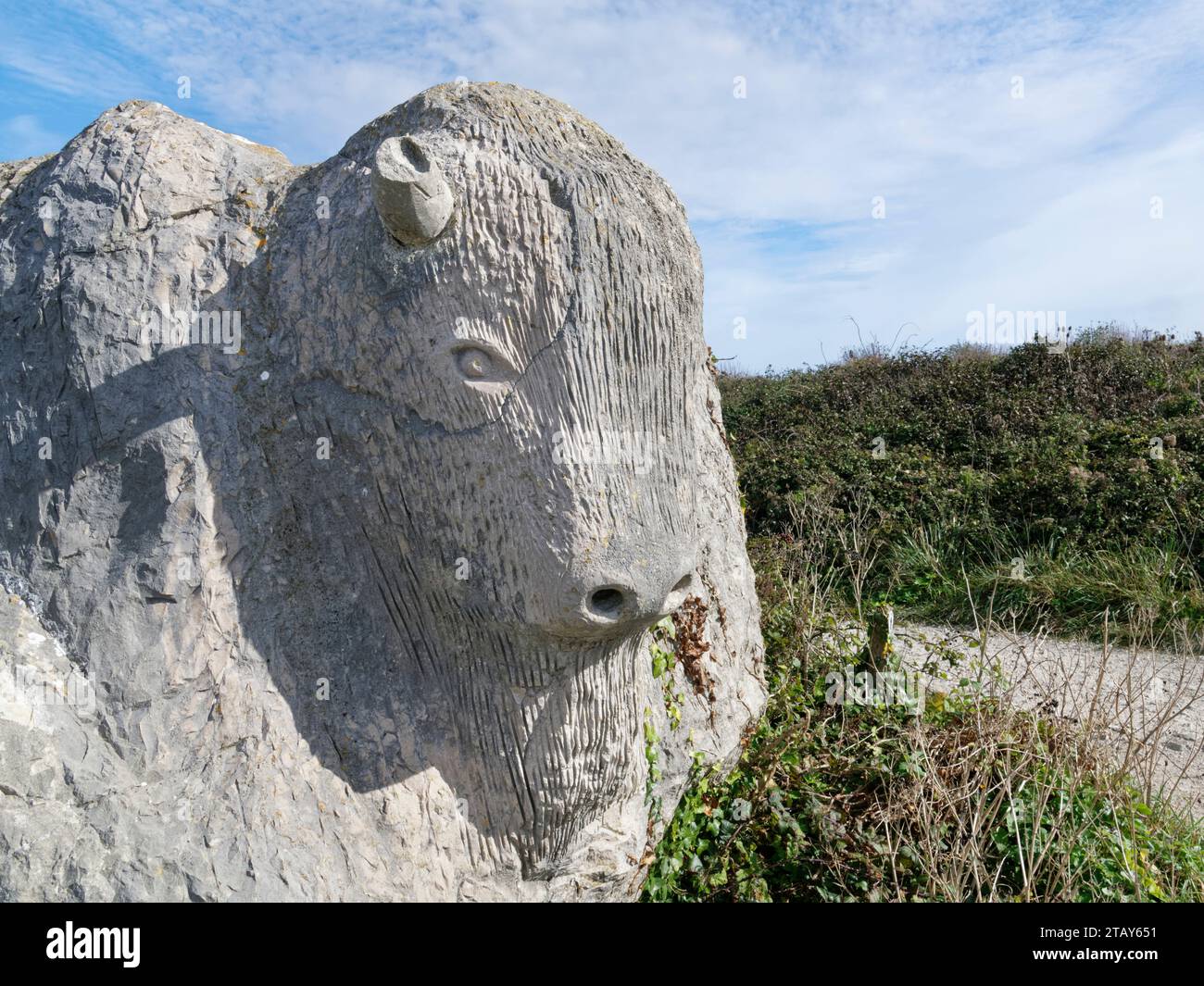 Bison sculpture by Maurice Dorren carved in Portland Stone at Tout ...