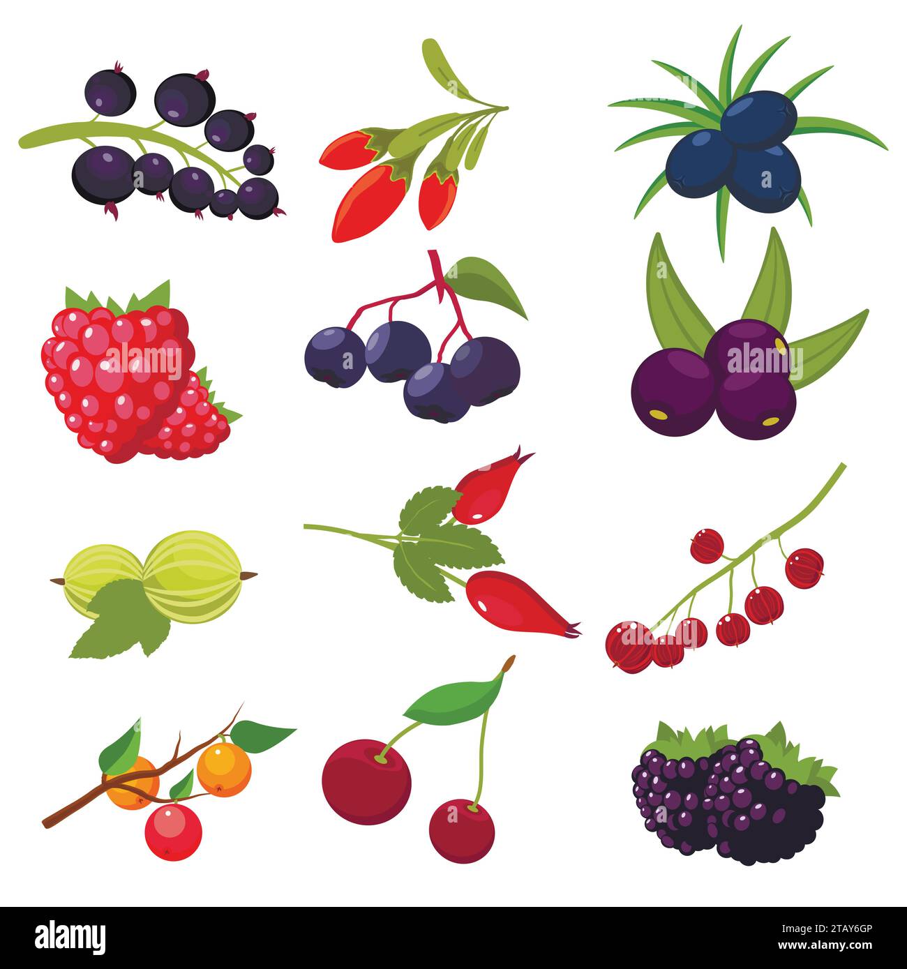 Set berries isolated on white background - currant, cherry, raspberries ...