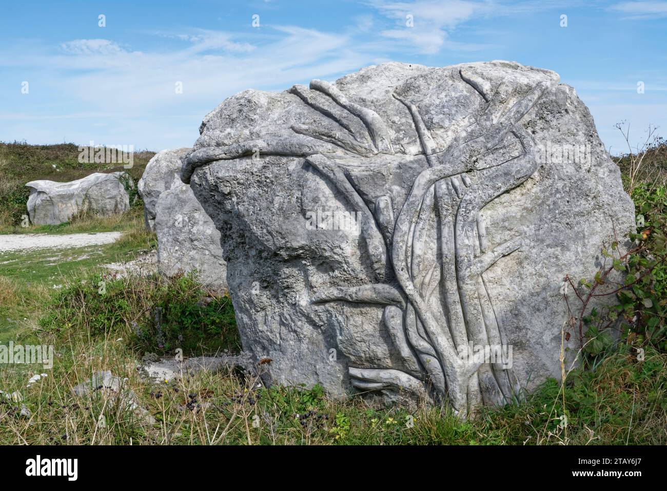 Plant tendrils sculpture carved in Portland Stone at Tout Quarry ...