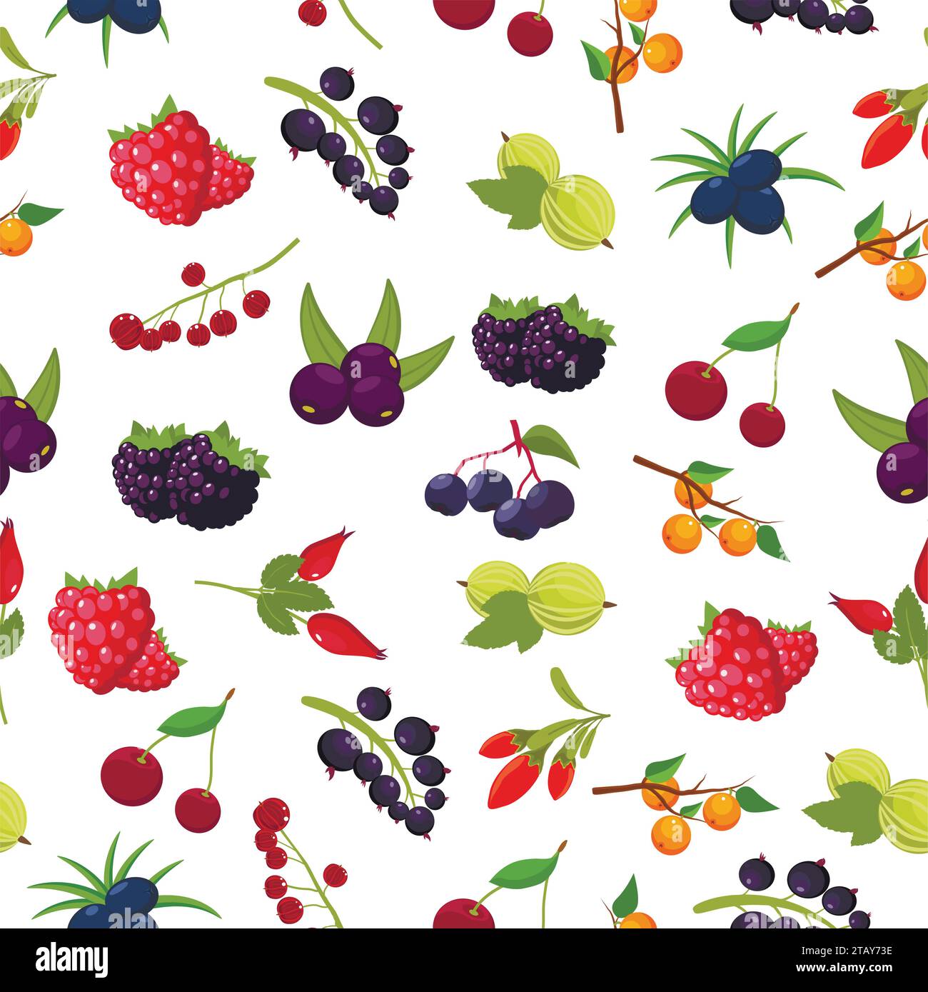 Seamless pattern black currant hi-res stock photography and images - Alamy